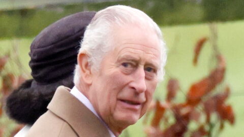 King Charles' 'secret son' will take a 'fresh approach' to prove his ...