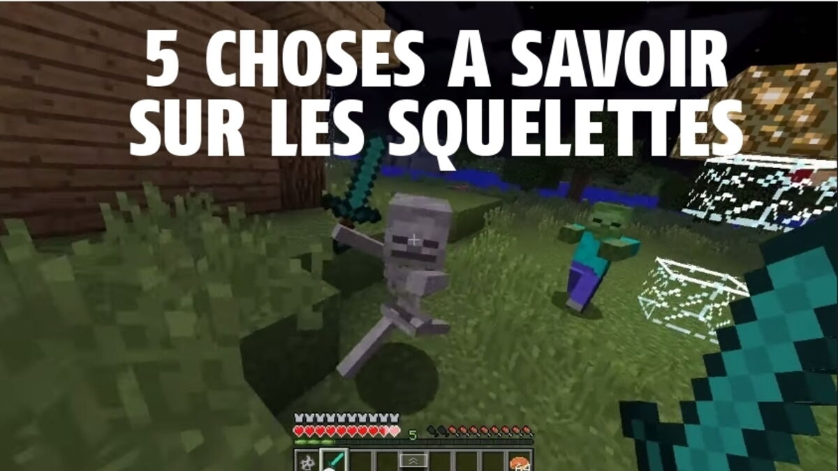 Minecraft : 5 choses à savoir sur les squelettes