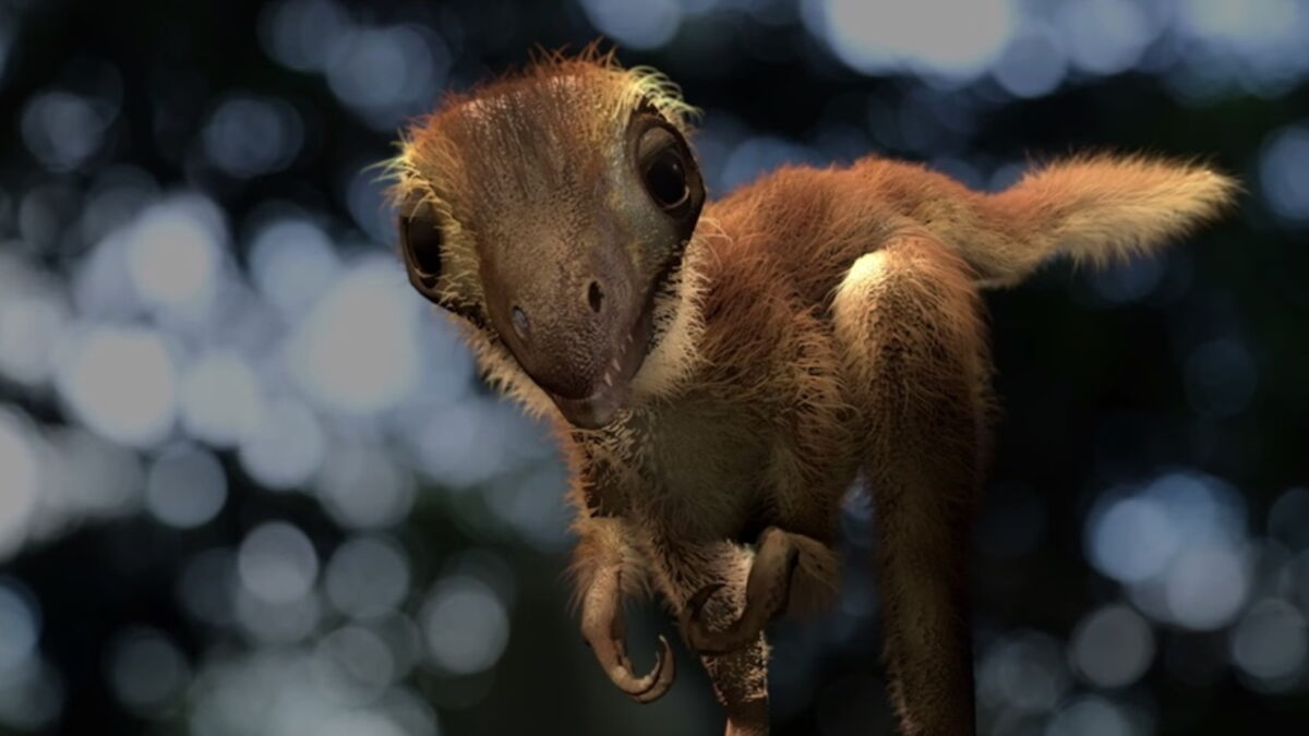 We Finally Know What A Baby T-Rex Really Looked Like