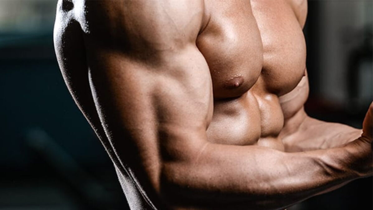 Four Easy Exercises To Build Your Biceps