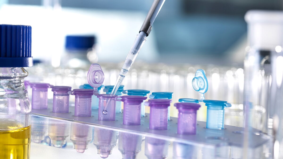 This Experiment Is Set To Last 500 Years - But We've Just Got The First ...