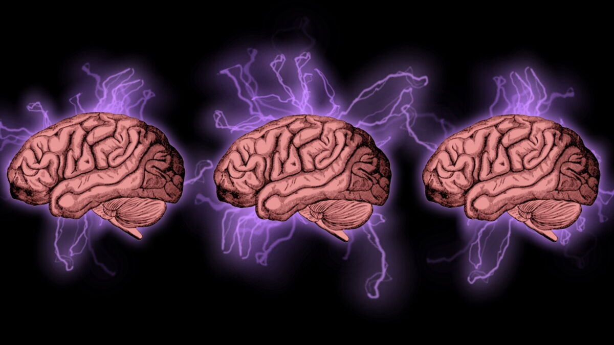 Scientists Have Succeeded At CONNECTING Three People's Brains So They ...