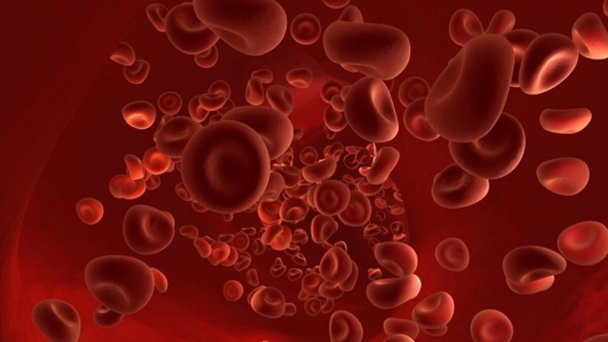 Blood Types: Rarity, ABO, Positive And Negative, Differences, Compatibility