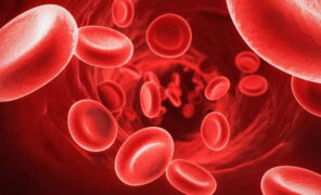 Emphysema (Emphysematous): Definition, Symptoms, Causes, Treatment