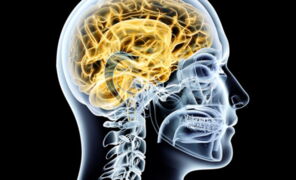 Degenerative Disc Disease (Discopathy): Symptoms, Causes, Treatment ...