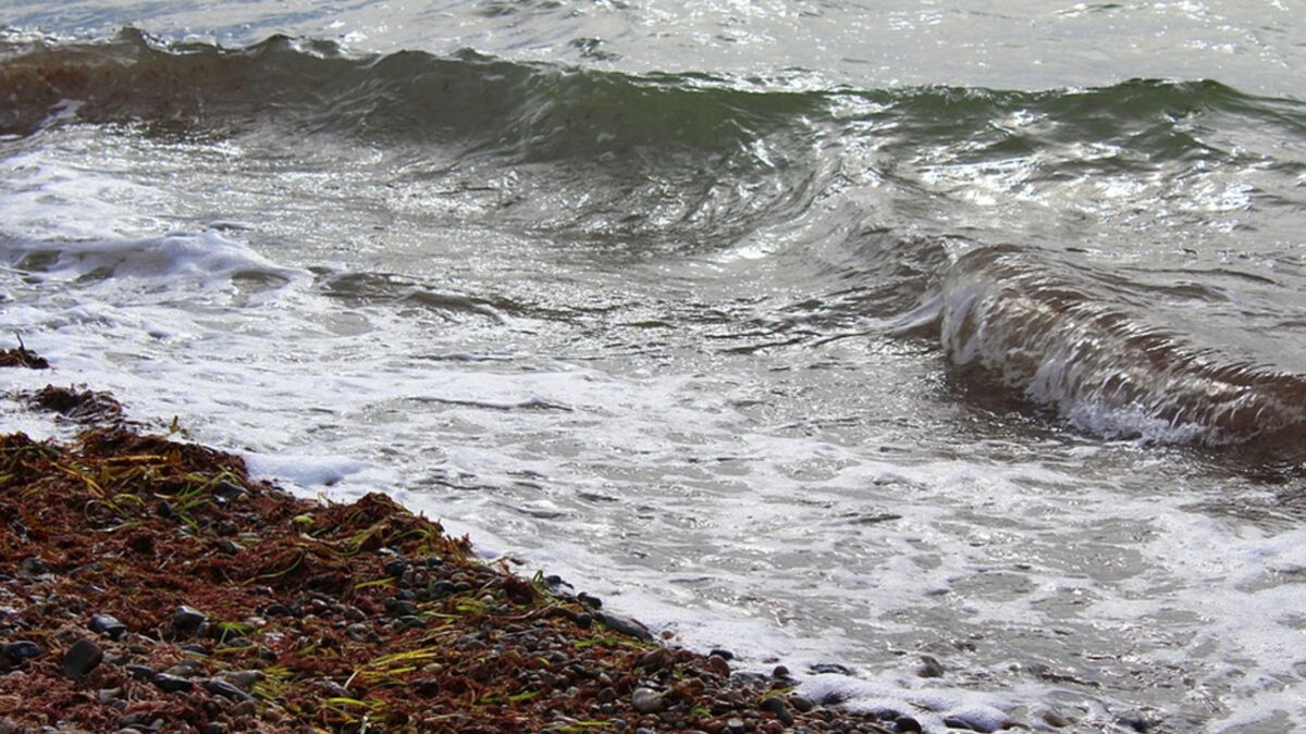 This Is What The Oceans Will Look Like Very Soon If Global Warming ...