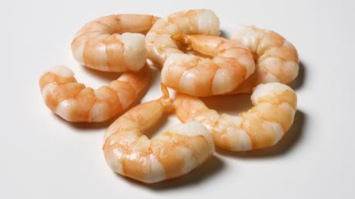 Environmental Authorities Have Found Something Very Worrying In UK Prawns