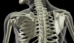 Emphysema (Emphysematous): Definition, Symptoms, Causes, Treatment