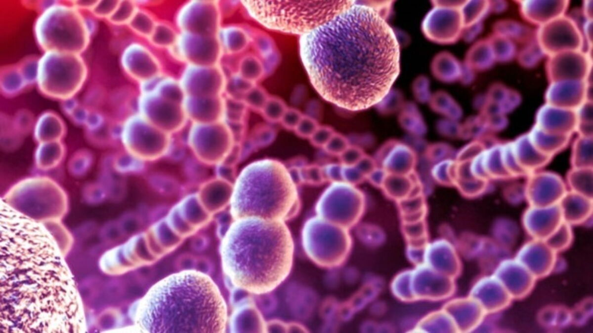 What Is Strep (Streptococcus)? Different Groups, Infection, Bacteria ...