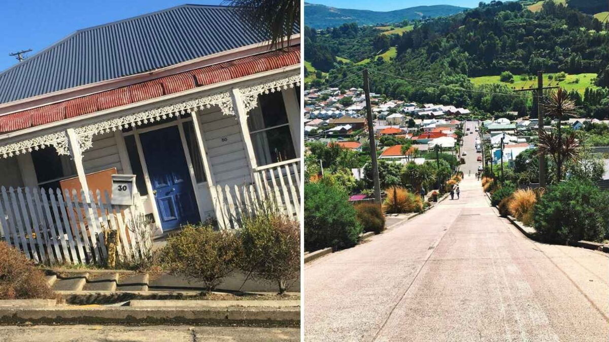Everyone Wants A Photograph Of This Suburban Street For One Bizarre Reason