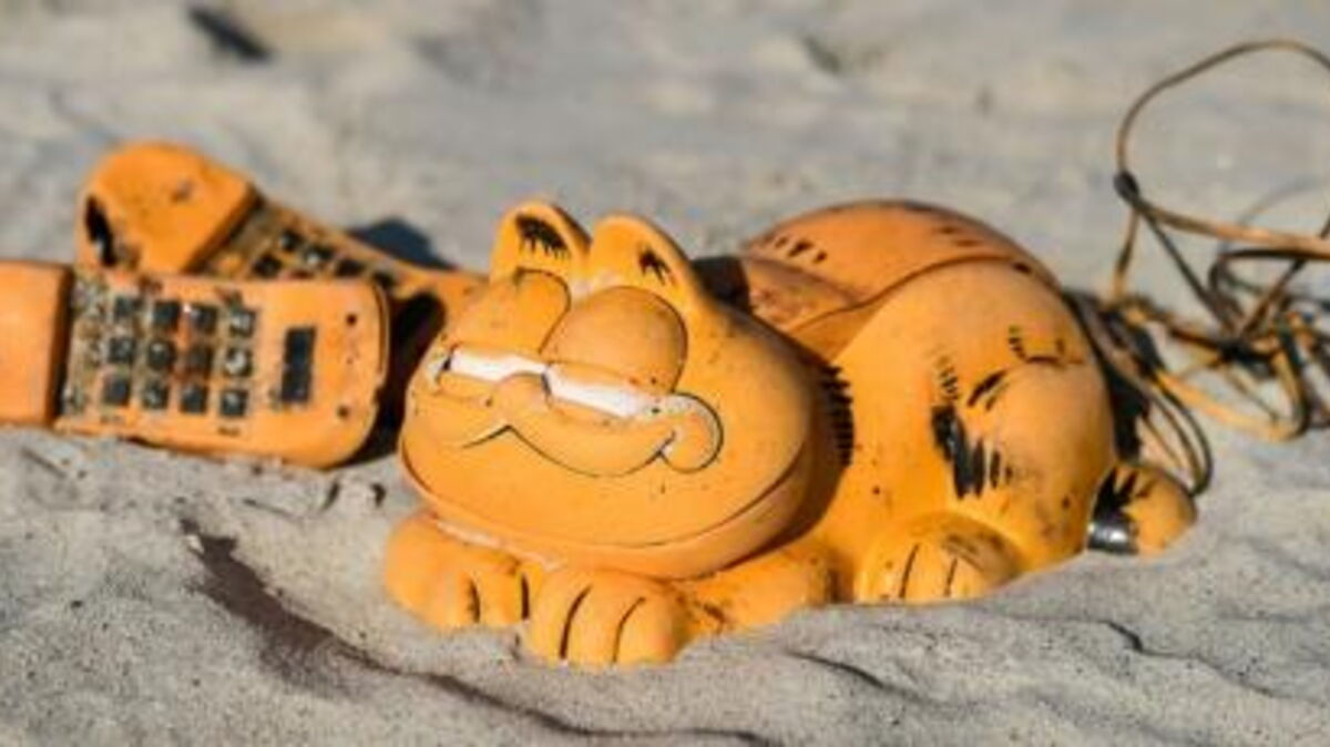 30 Years Later, We Finally Know Why Garfield Telephones Keep Washing Up ...