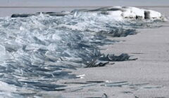 Video 1444: The viral video YouTube doesn't want you to see