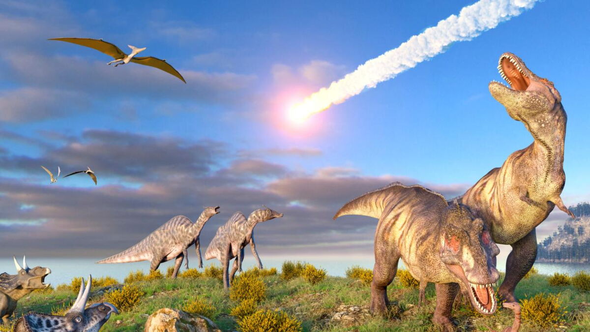 Birds Are the Last Living Dinosaurs And We Know Why They Survived