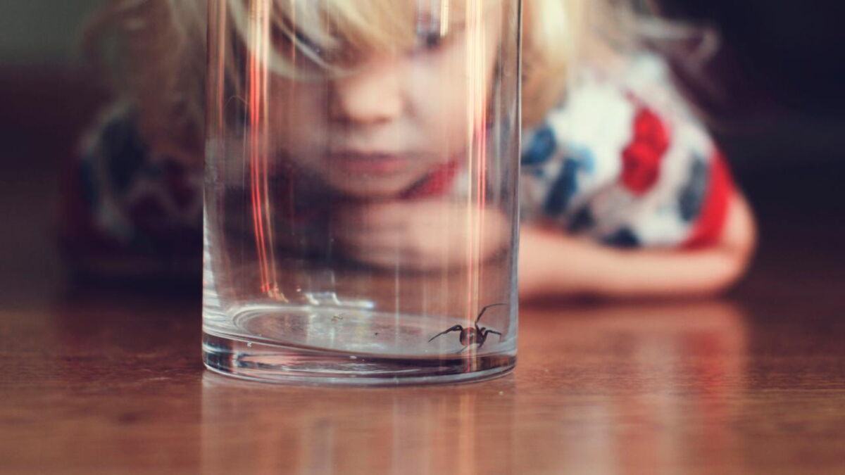 The UK’s Most Venomous Spider Is ‘Eating People Alive’