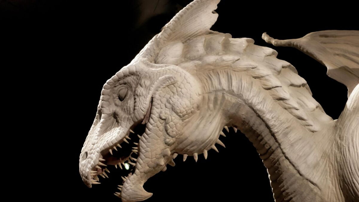 Paleontologists unearth ‘savage’ flying creature in Australia