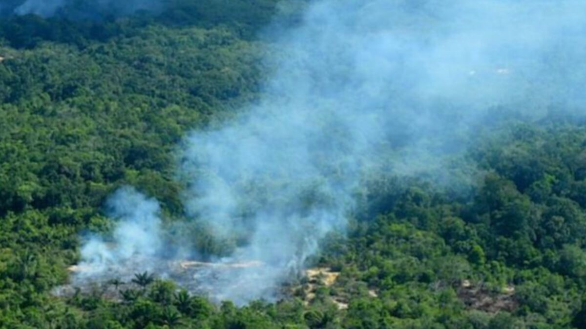 Devastating Images Of The Amazon Rainforest On Fire Are Spreading ...