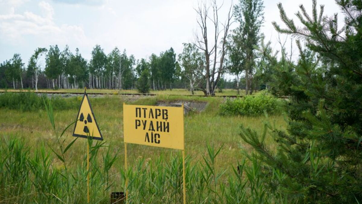 Radiation Levels Have Soared as a Result of the Fires Currently ...