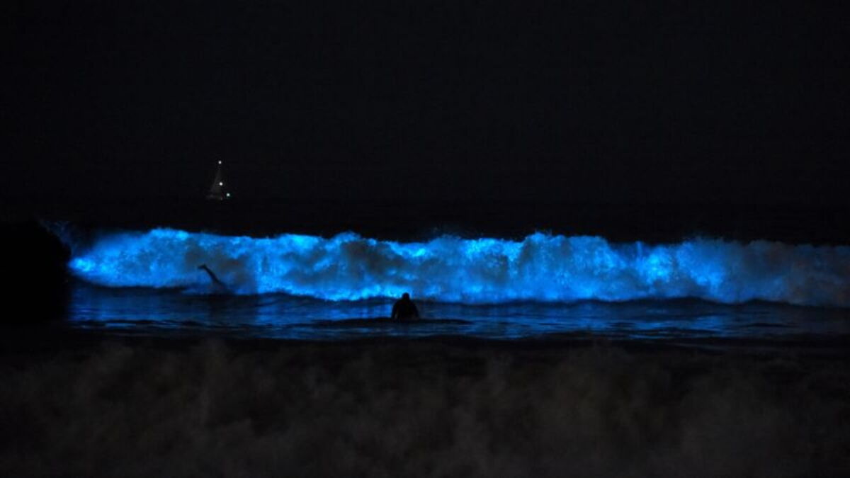 Mysterious Bioluminescent Waves Light Up Southern California Beaches ...