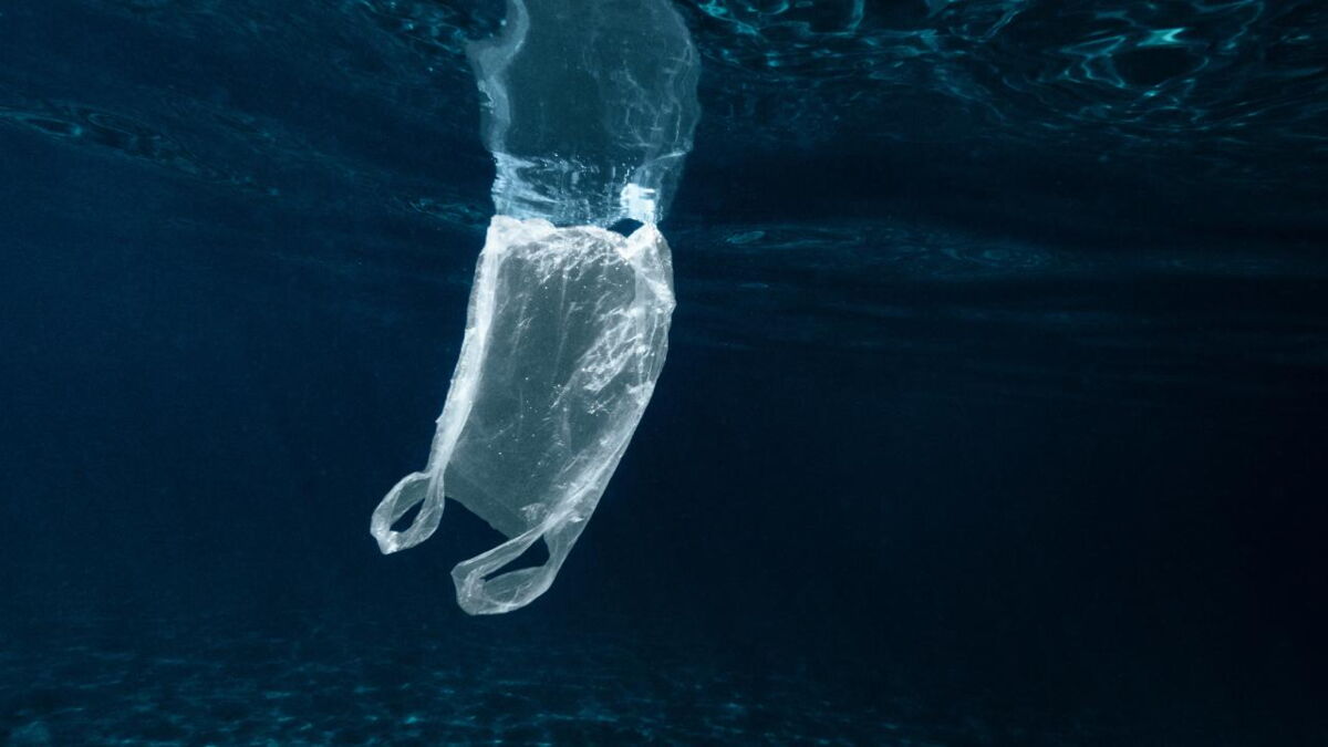 Researchers have found plastic waste in the deepest part of the ocean