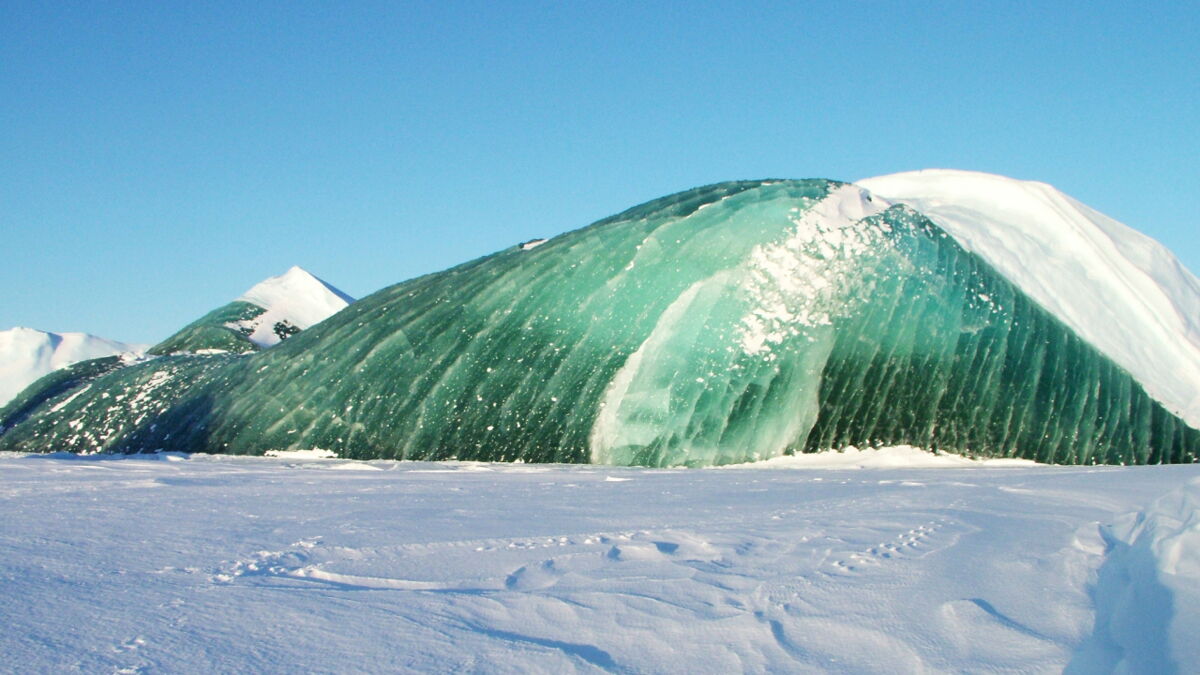 A scientist has finally unravelled the mystery of these 'alien' green ...