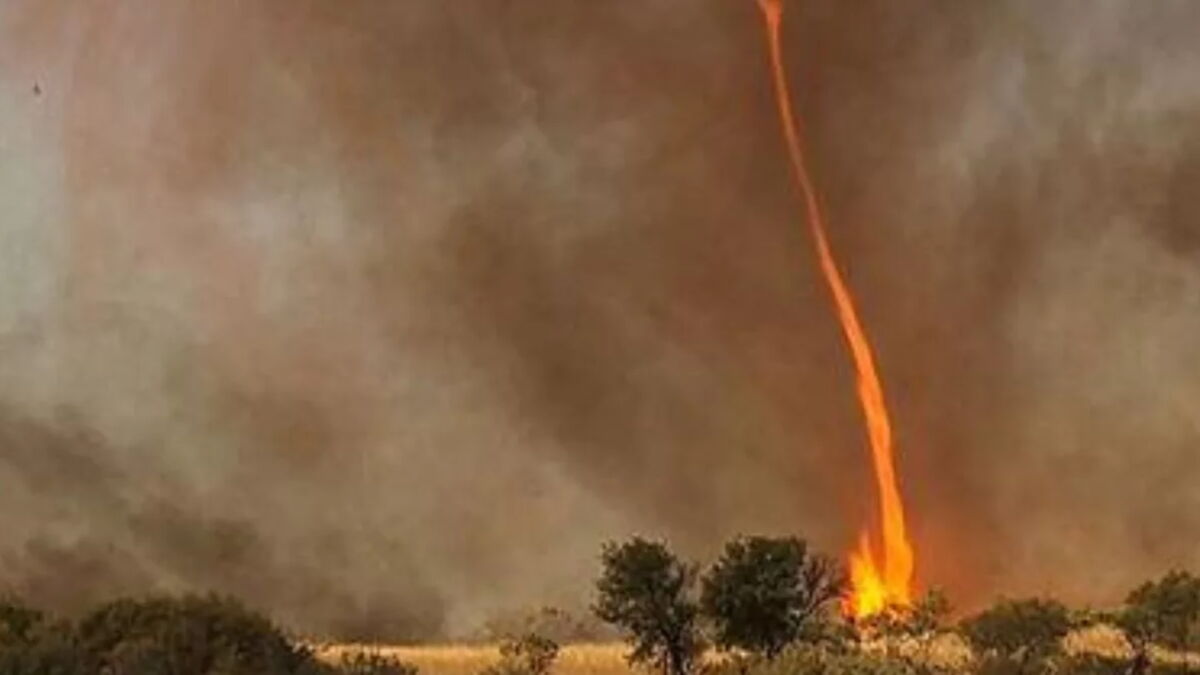'Firenados' are a rare but very real and destructive phenomenon in ...