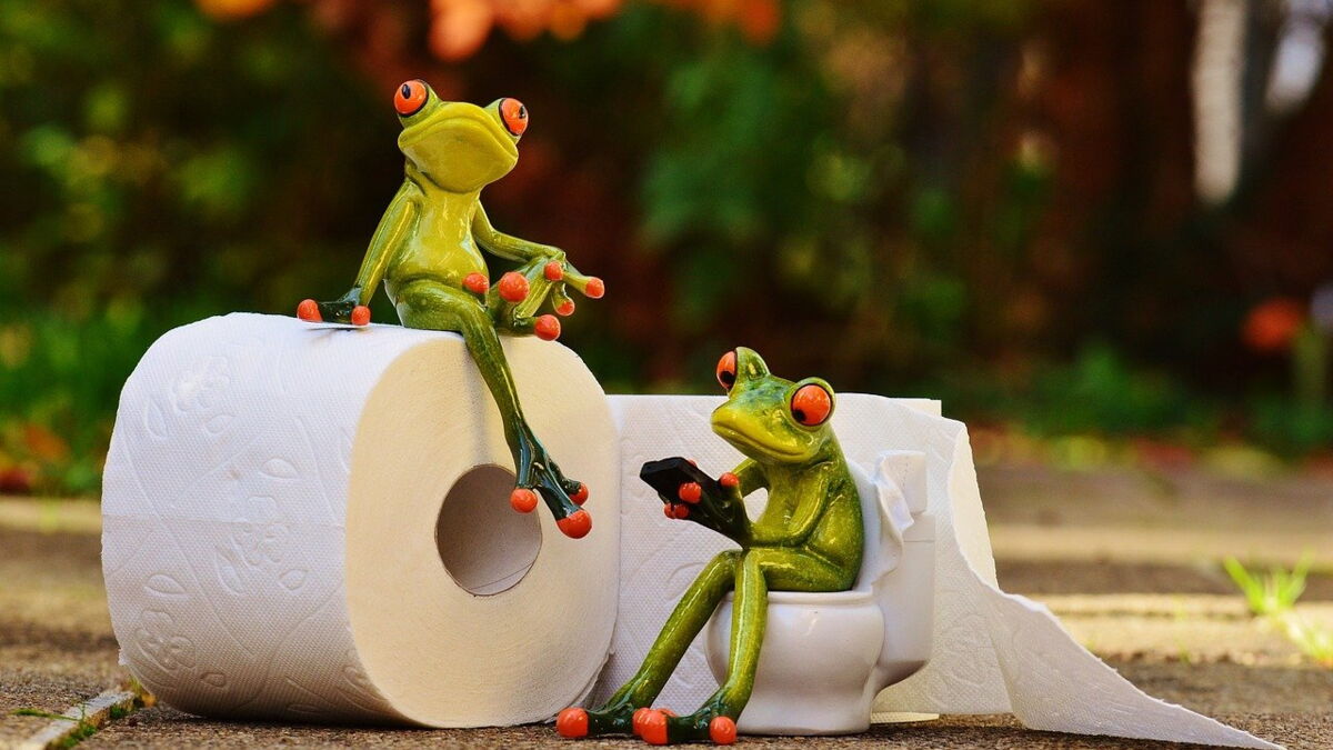 Why you should stop using toilet paper