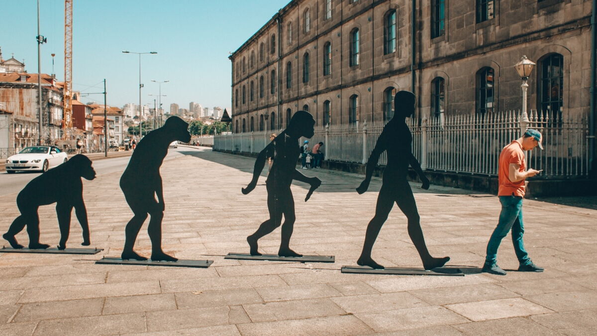 The diagram of human evolution is actually wrong