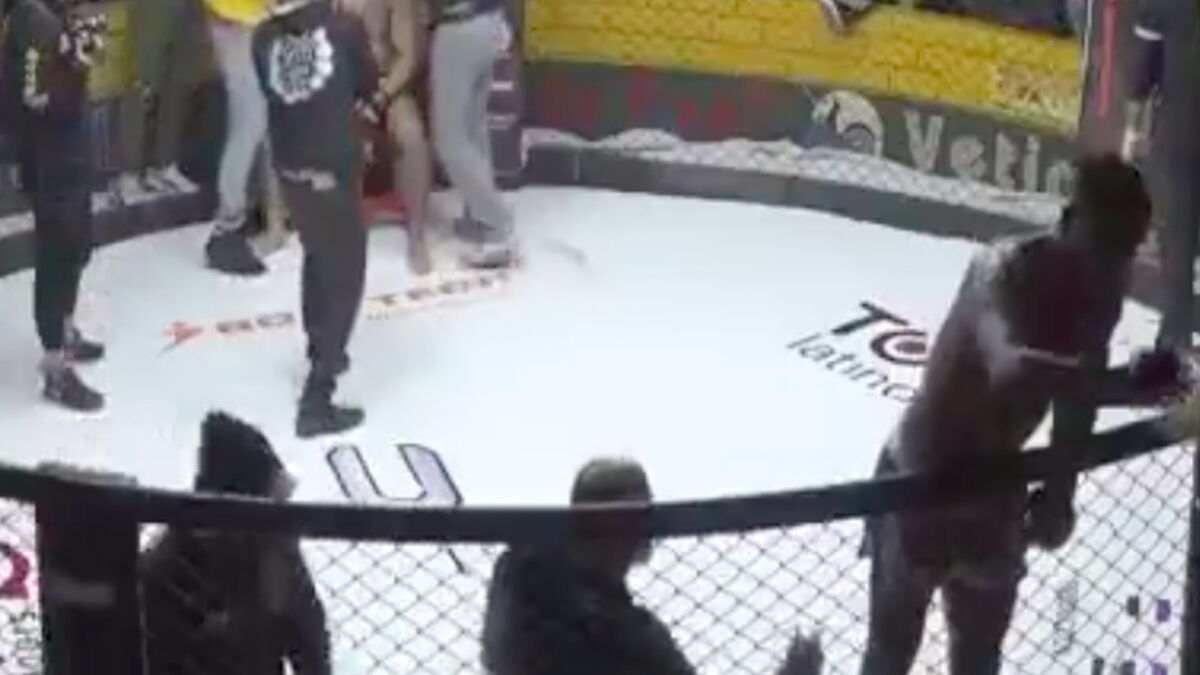 This MMA fighter decided to drink a fan's beer between rounds