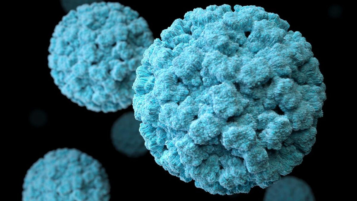 Several new transmissible coronaviruses discovered in China