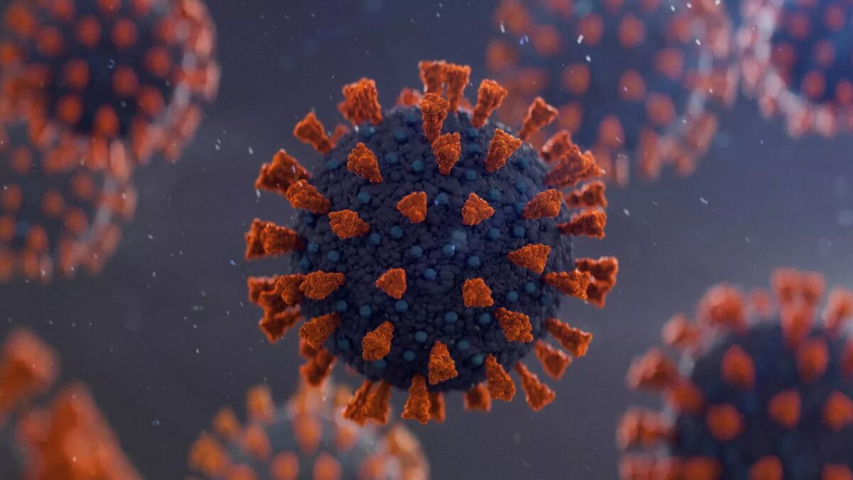 India labels the new ‘Delta Plus’ as a variant of concern
