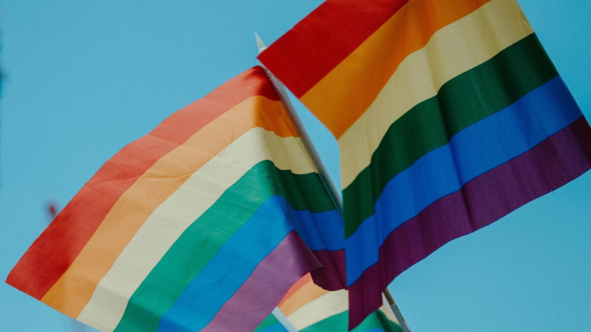 Almost a third of millennials identify as LGBTQ+, study finds