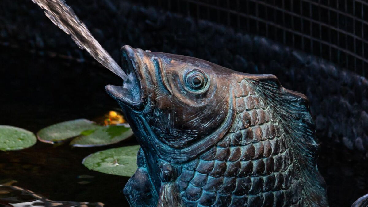 This Phallic-Shaped Photo Is Causing Quite a Stir