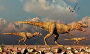 Scientists Have Created The Most Accurate Reconstruction Of The ...