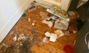 These 6 Notorious Criminals Were Given The Most Severe Sentence Possible