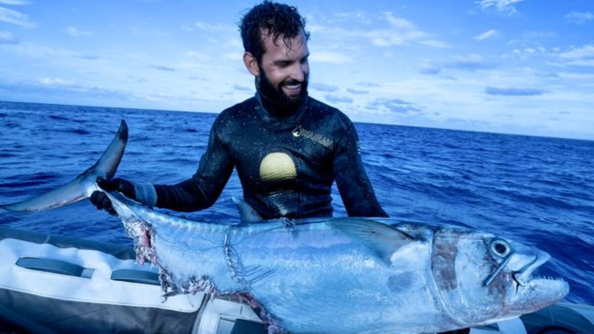 One Man Battles Three Sharks in an Epic Showdown Over a Huge Fish