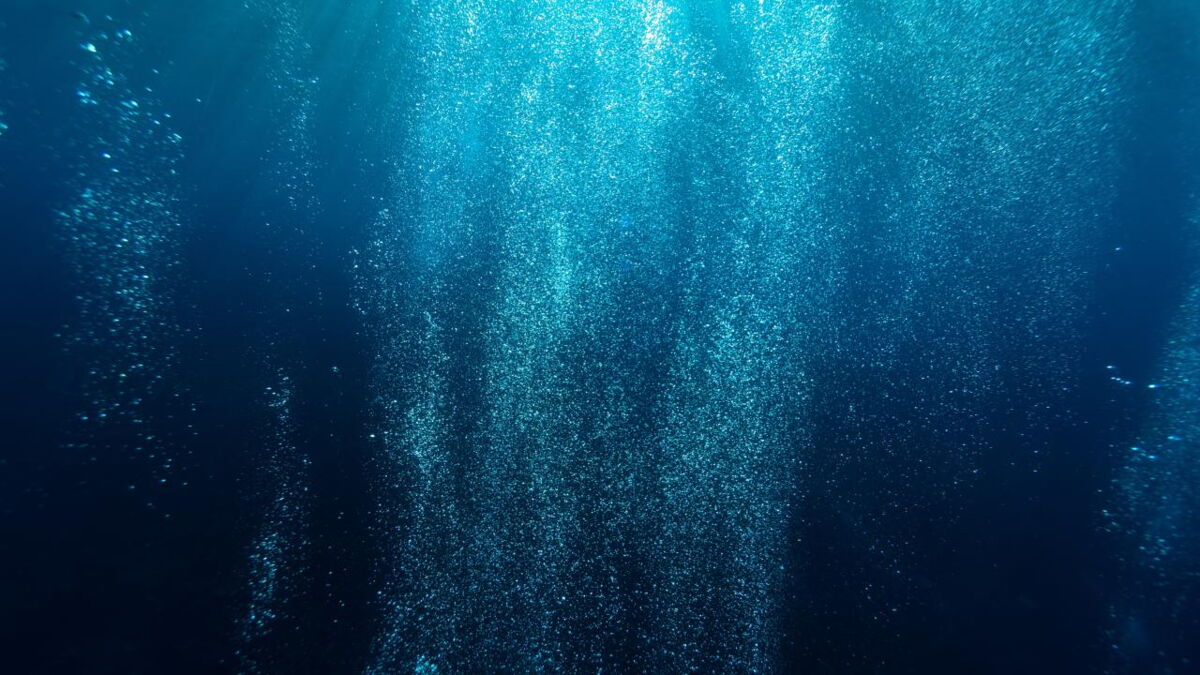 Rare shapeshifting whalefish spotted off the coast of California