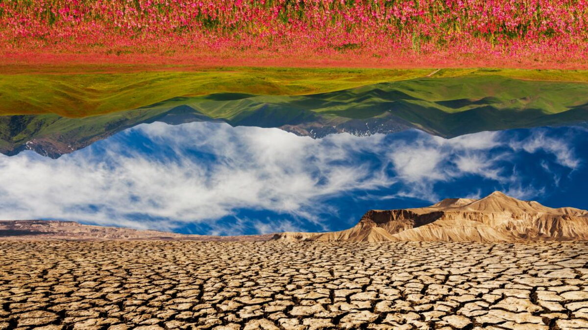 Due to climate change, these rare viruses are being discovered