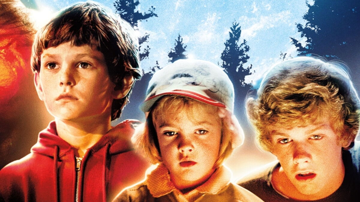 The cats of ET is all grown up, this is what they look like now