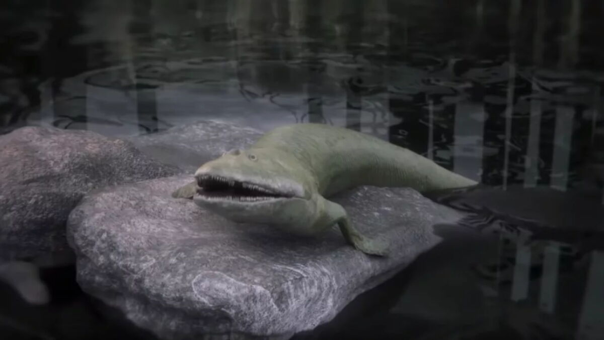 A 375 million-year-old fossil may hold the secrets to our evolution