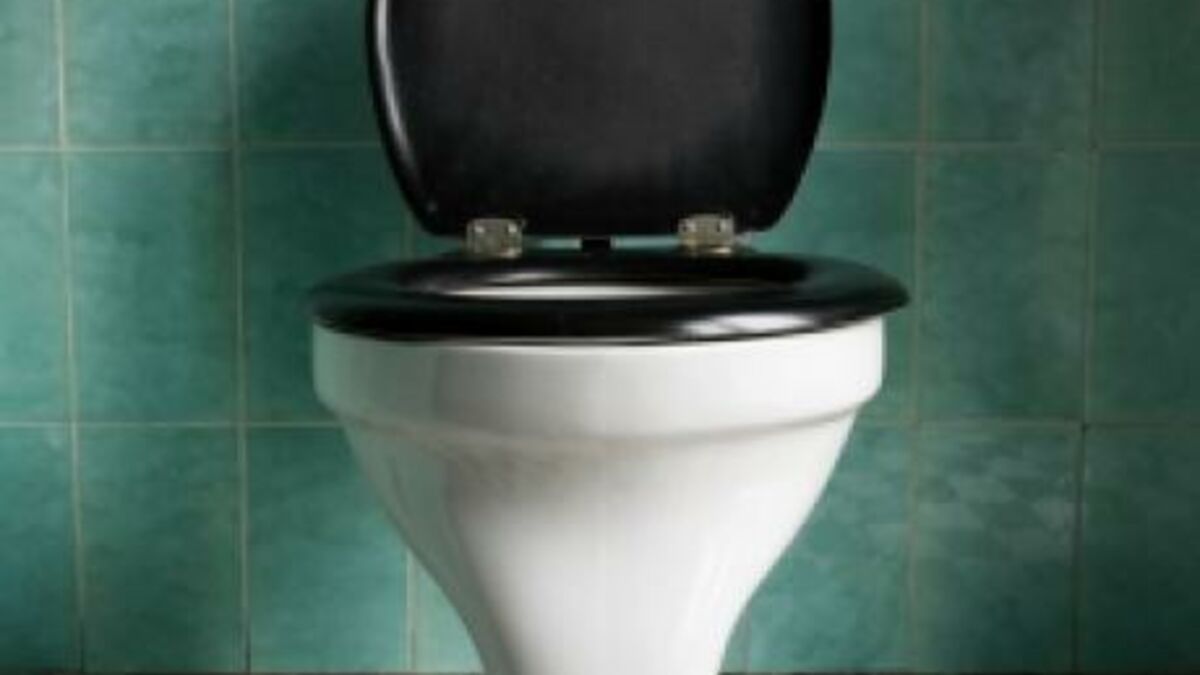 Sondage : que font les gens aux toilettes Sondage : que font les gens aux toilettes