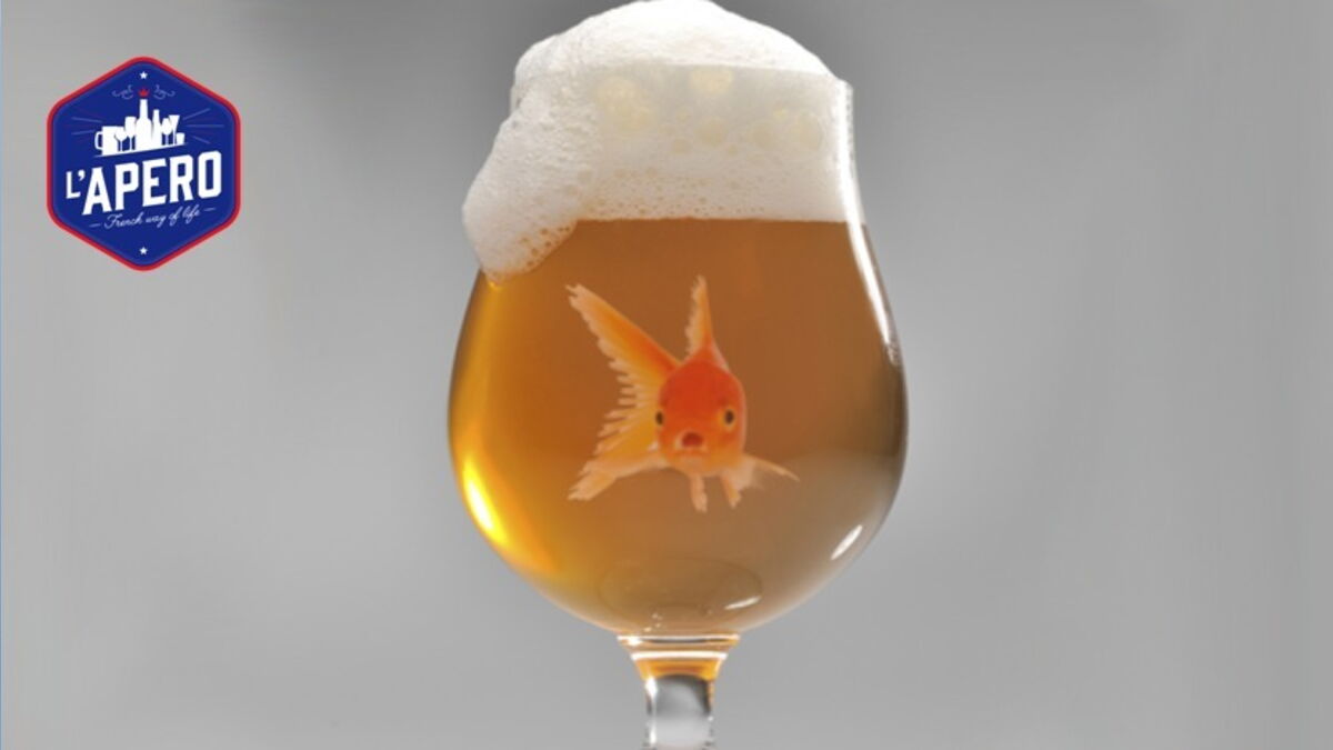 Votre poisson rouge peut synthétiser de l'alcool quand il n'a pas d'oxygène