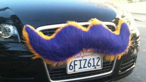 Découvrez la carstache : une moustache pour voiture