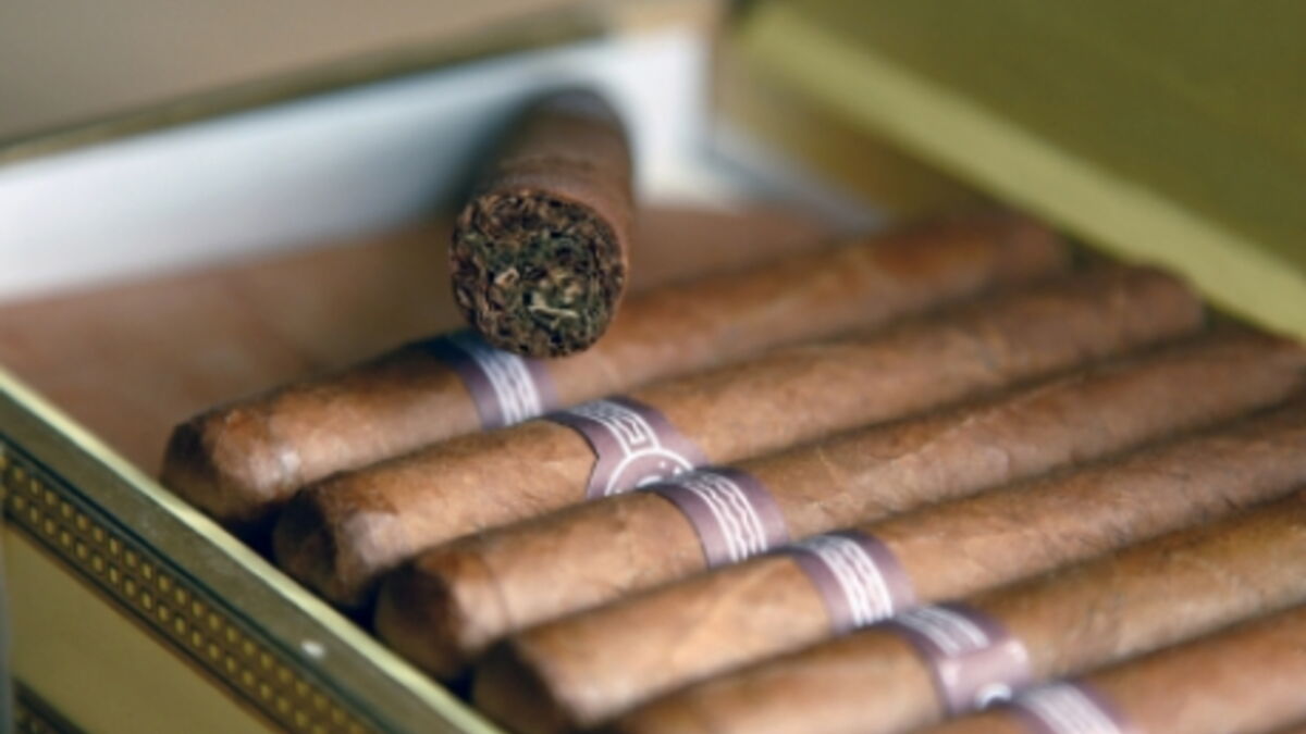 Découvrez le plus long cigare du monde mesurant plus de 43 mètres