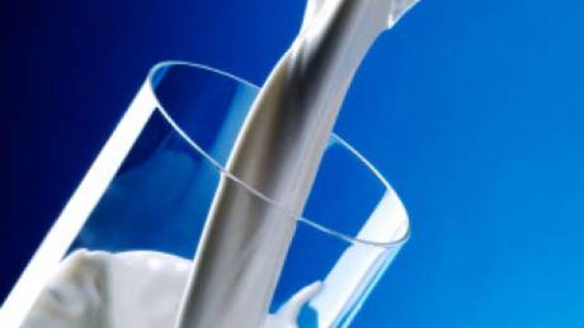 Dubaï : le lait de dromadaire à la conquête des supermarchés occidentaux