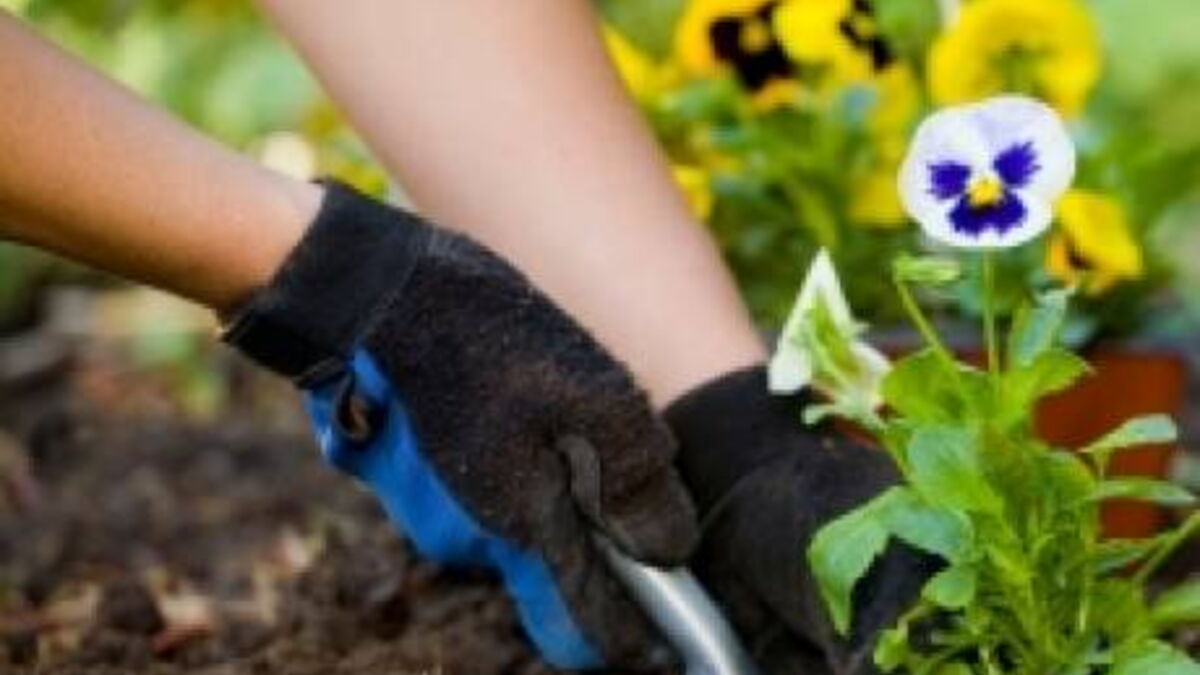 Comment bien cultiver son jardin Bio
