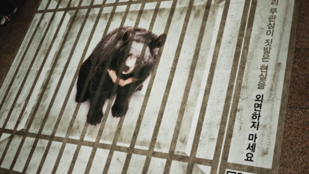 Photos : Découvrez la campagne de communication "We Love Bears" en images