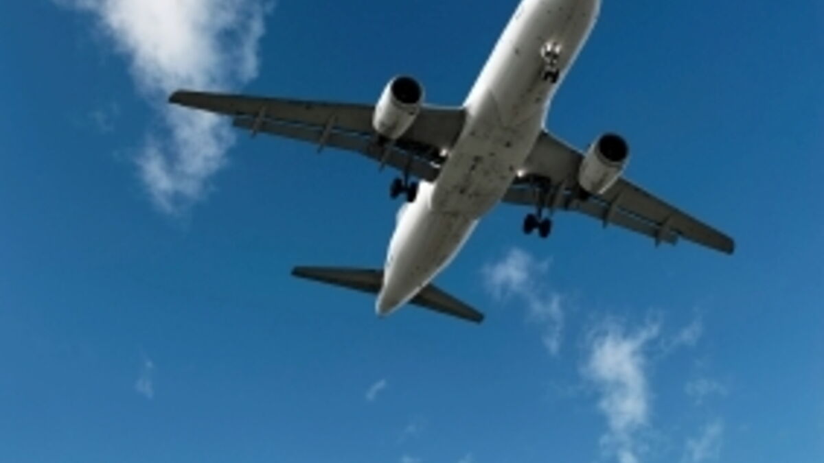 Elle essaie de sauter d'un avion en plein vol