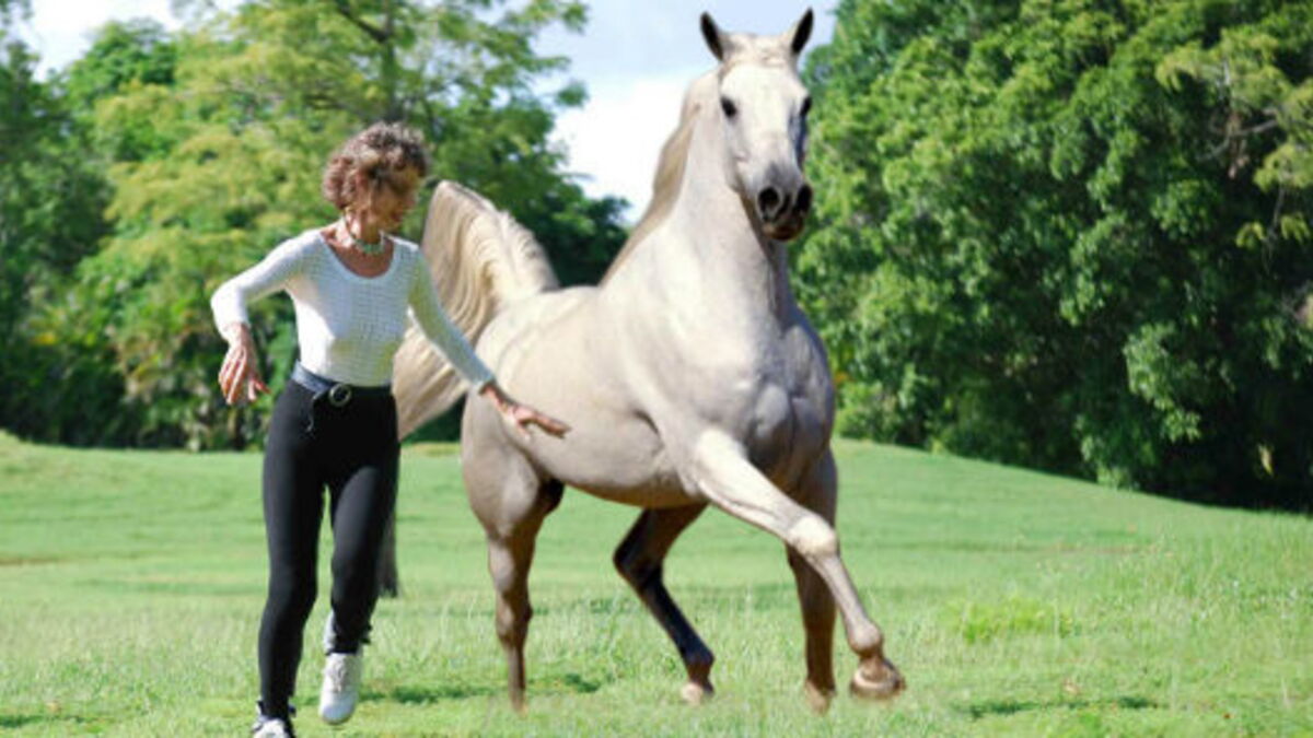 Le Prancercice, l'incroyable méthode de fitness qui fait le buzz
