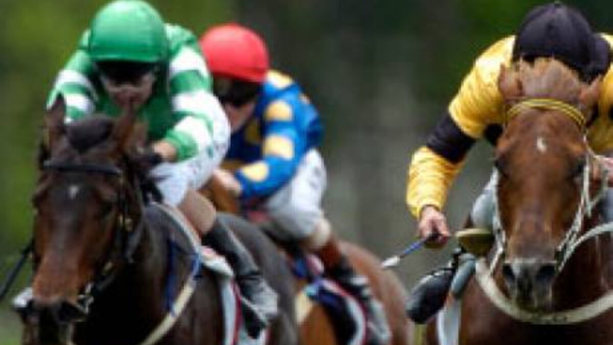 En images : une étonnante course de chevaux