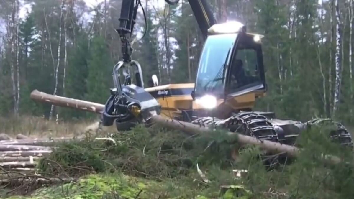 La EcoLog 590D : une machine impressionnante qui débite des arbres en ...